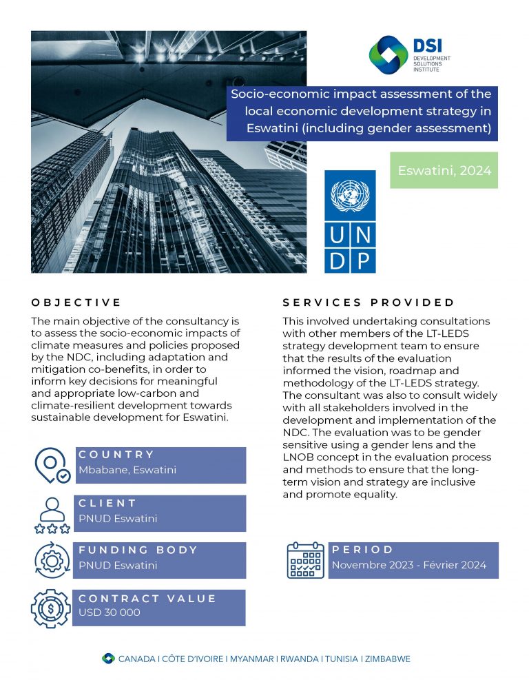 Development Solutions Institute | Socio-economic impact assessment of ...